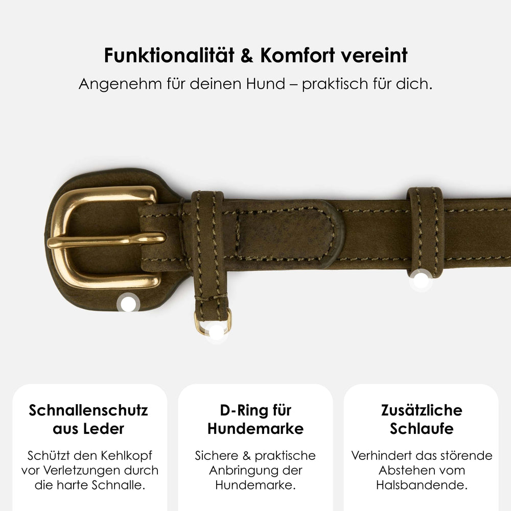 Waterproof nubuck leather dog collar | William Walker